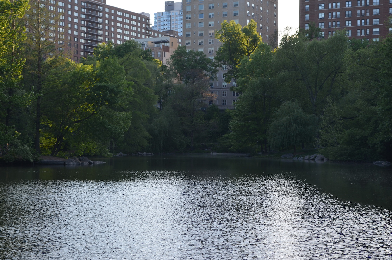 The Pool In Central Park - Full Access NYC