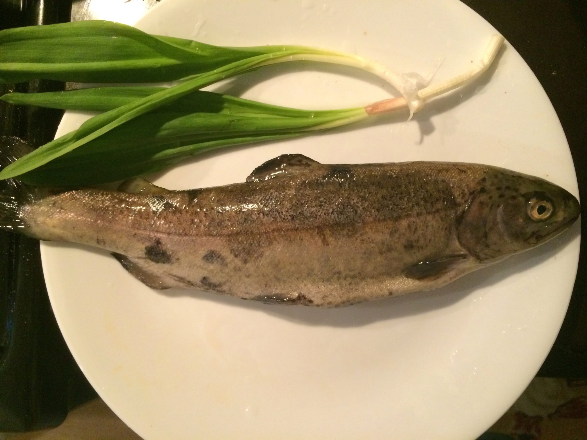 Ramp Fritters and Pan Fried Rainbow Trout - Full Access NYC