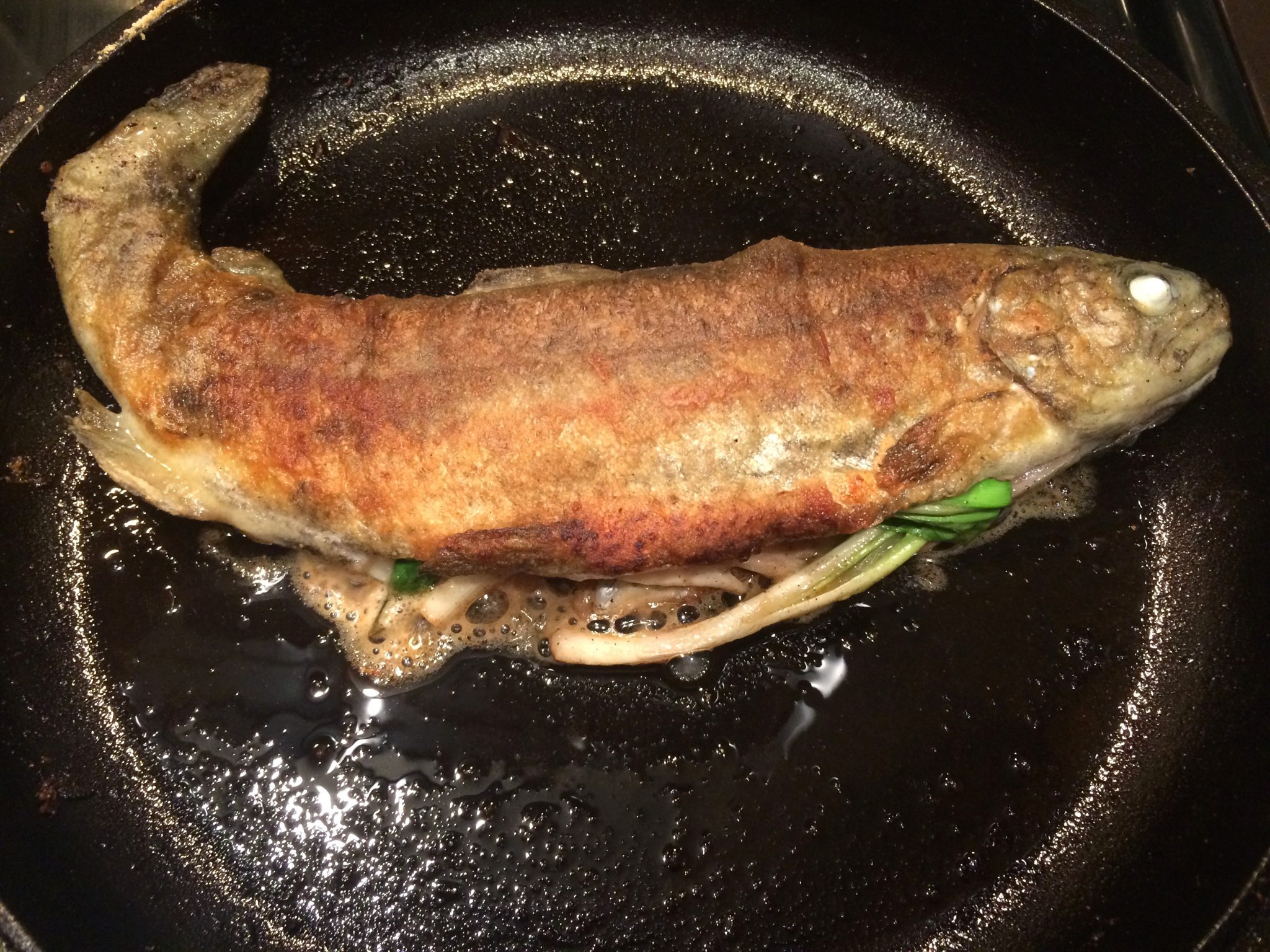 Ramp Fritters and Pan Fried Rainbow Trout - Full Access NYC