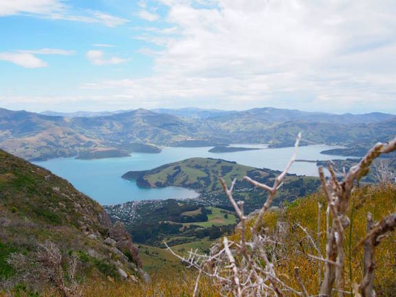 Little River New Zealand Has A Big Heart - Full Access NYC