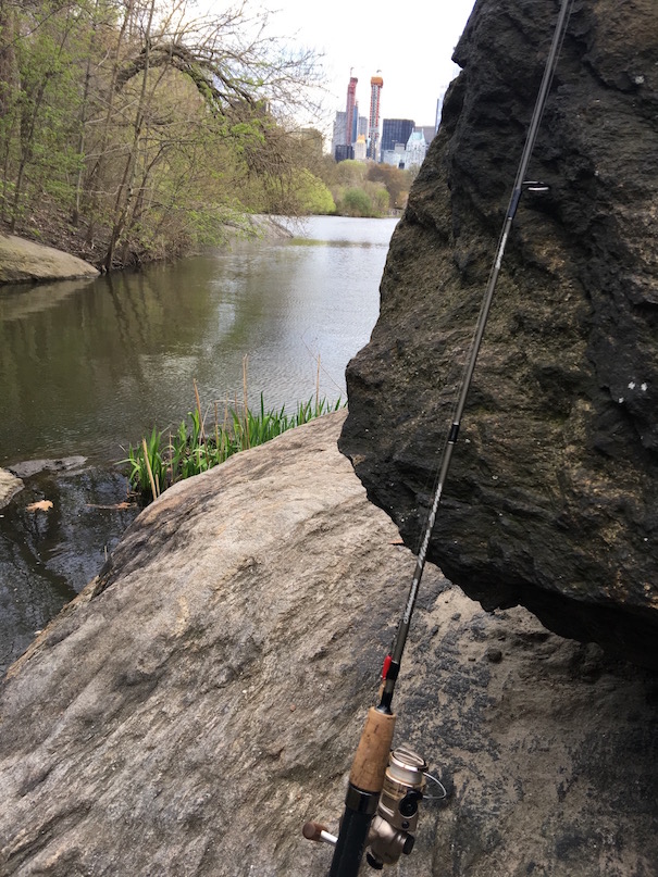 Crappie Fishing in Central Park - Full Access NYC