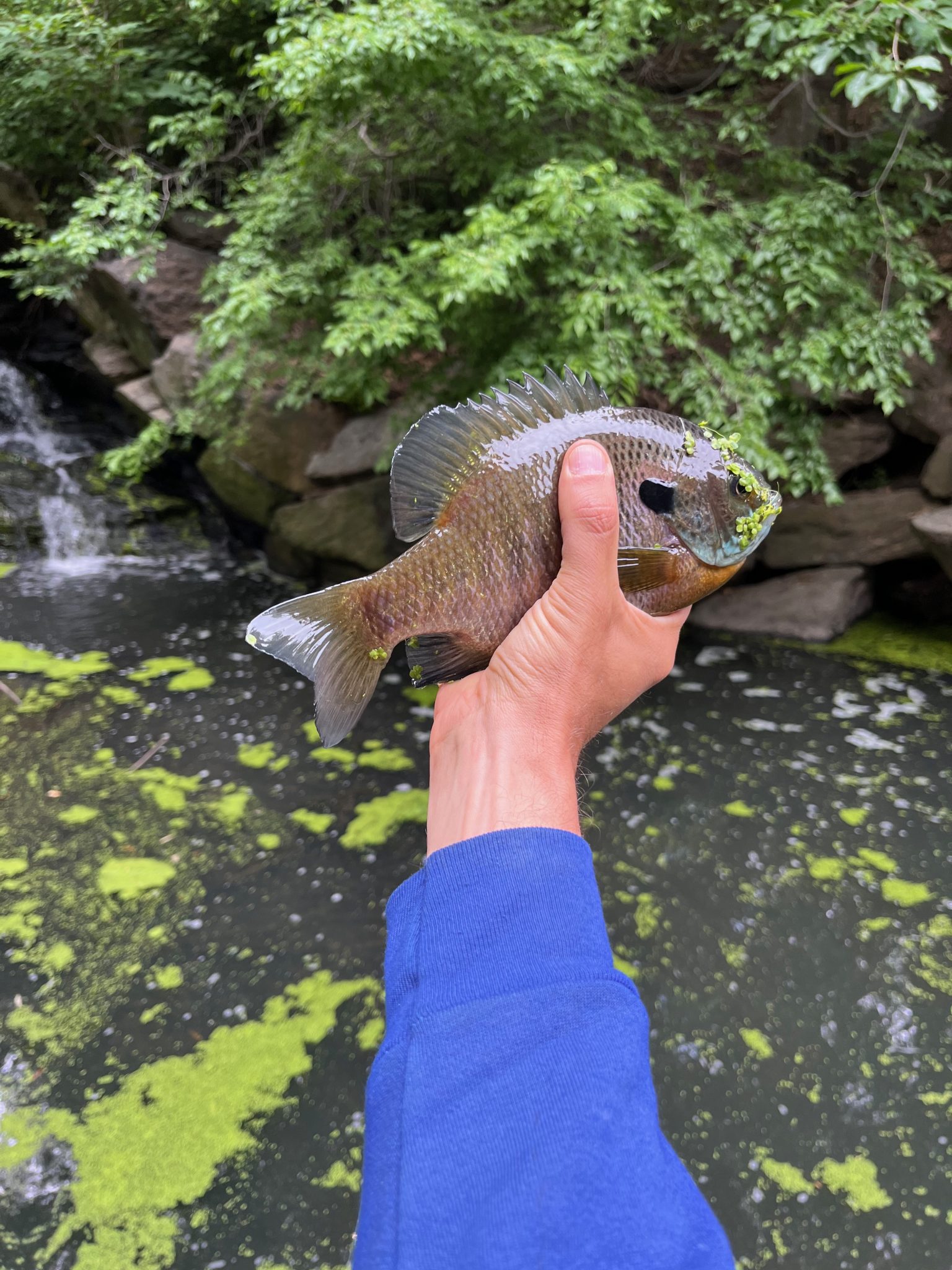 Private Fishing Tours in Central Park - Full Access NYC
